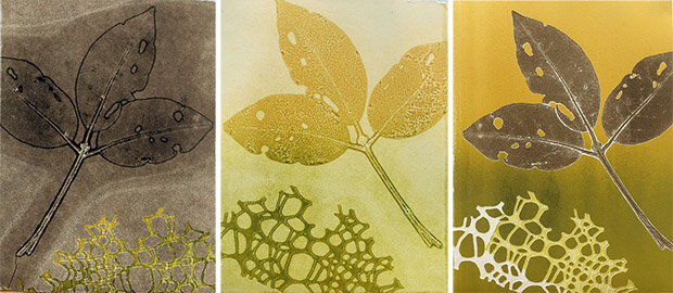 Monoprinting with nature – Tactual Textiles by Claire