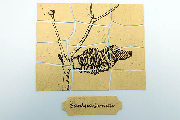 Banksia Book – Constructed | Tactual Textiles by Claire