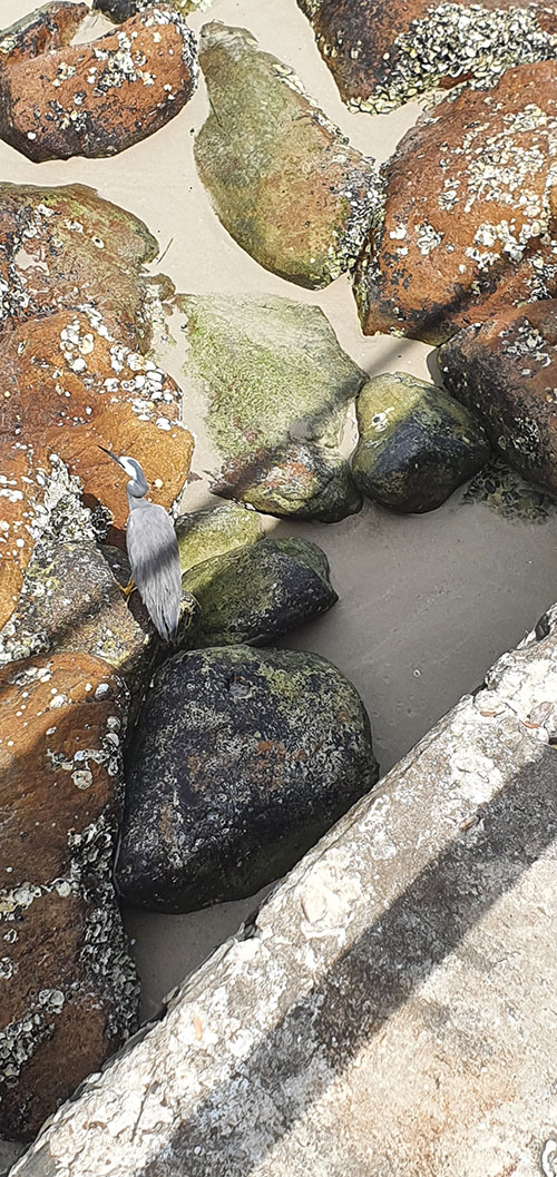 2024 05 21 Image of the week | Tactual Textiles by Claire