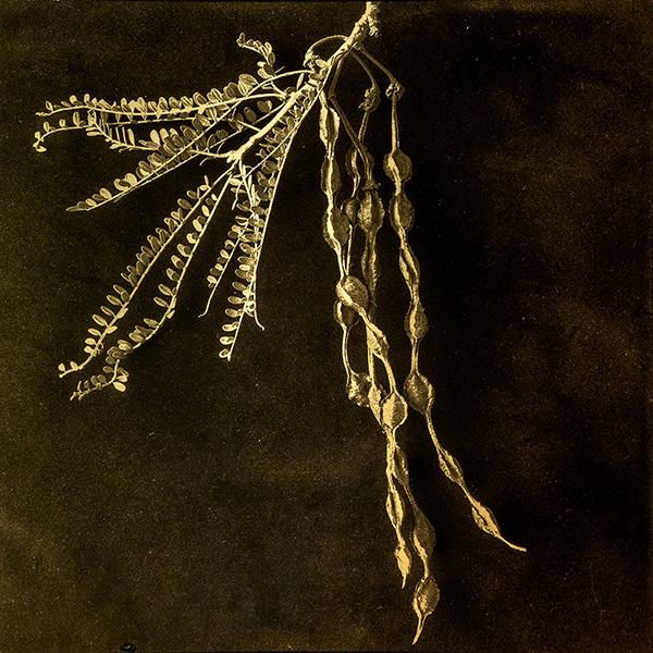 2024 11 05 Image of the week | Tactual Textiles by Claire